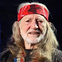 Willie Nelson - Silver Wings - text